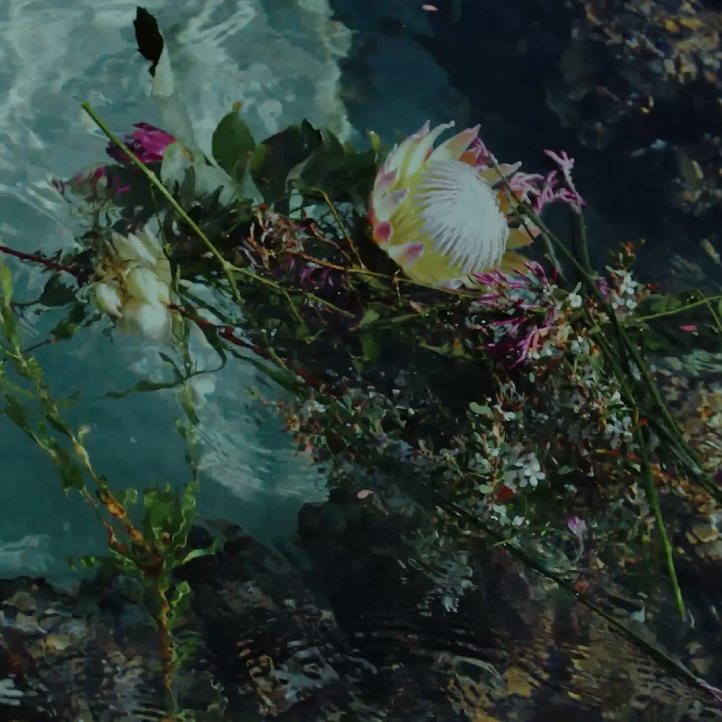 Ingenious Ginger - Goldfield & Banks Luxury Fragrance -Eau de Parfum